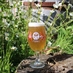 Silent Spring, Black Isle – Protz On Beer, by Roger Protz